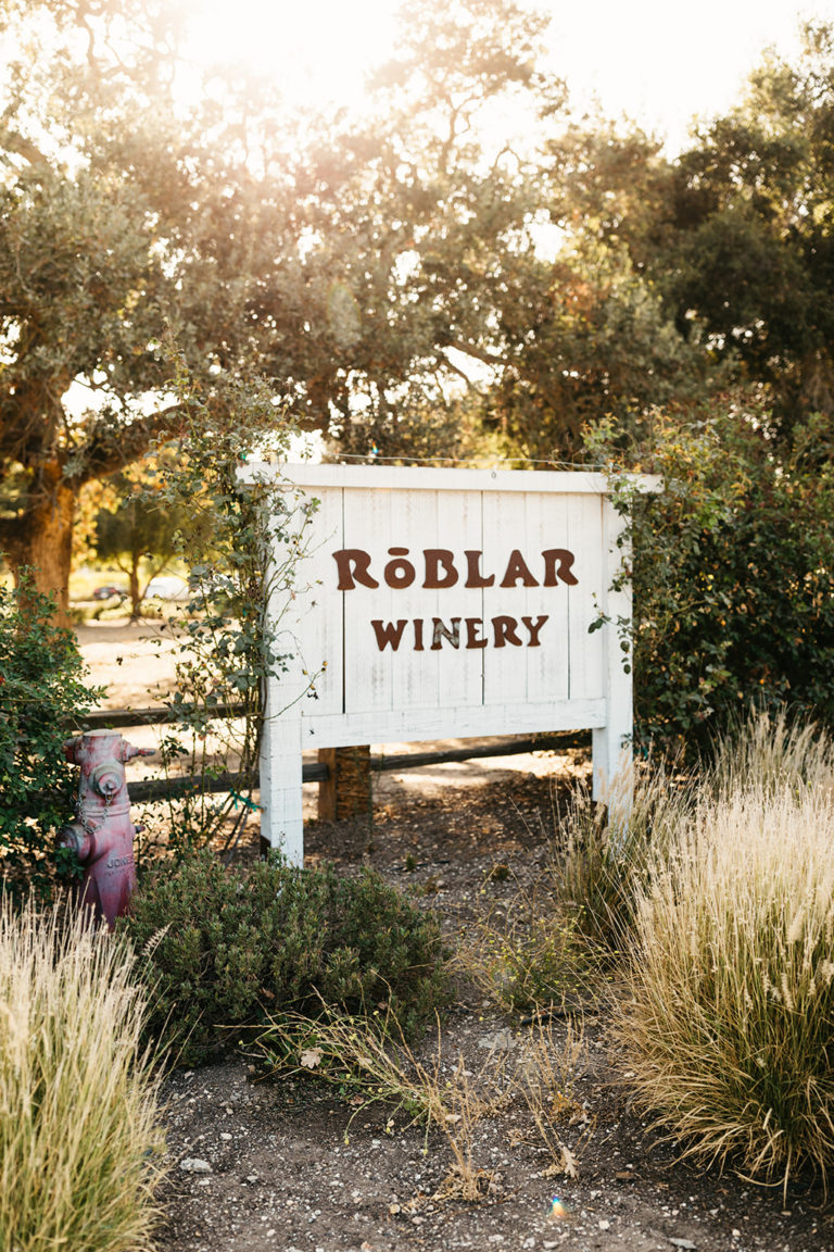 An Intimate Vineyard Wedding at Roblar Winery - Feathered Arrow